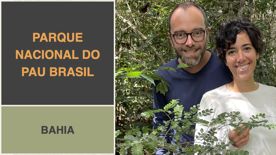 Parque Nacional do Pau-Brasil: o parque denso e leve - Entre Parques BR