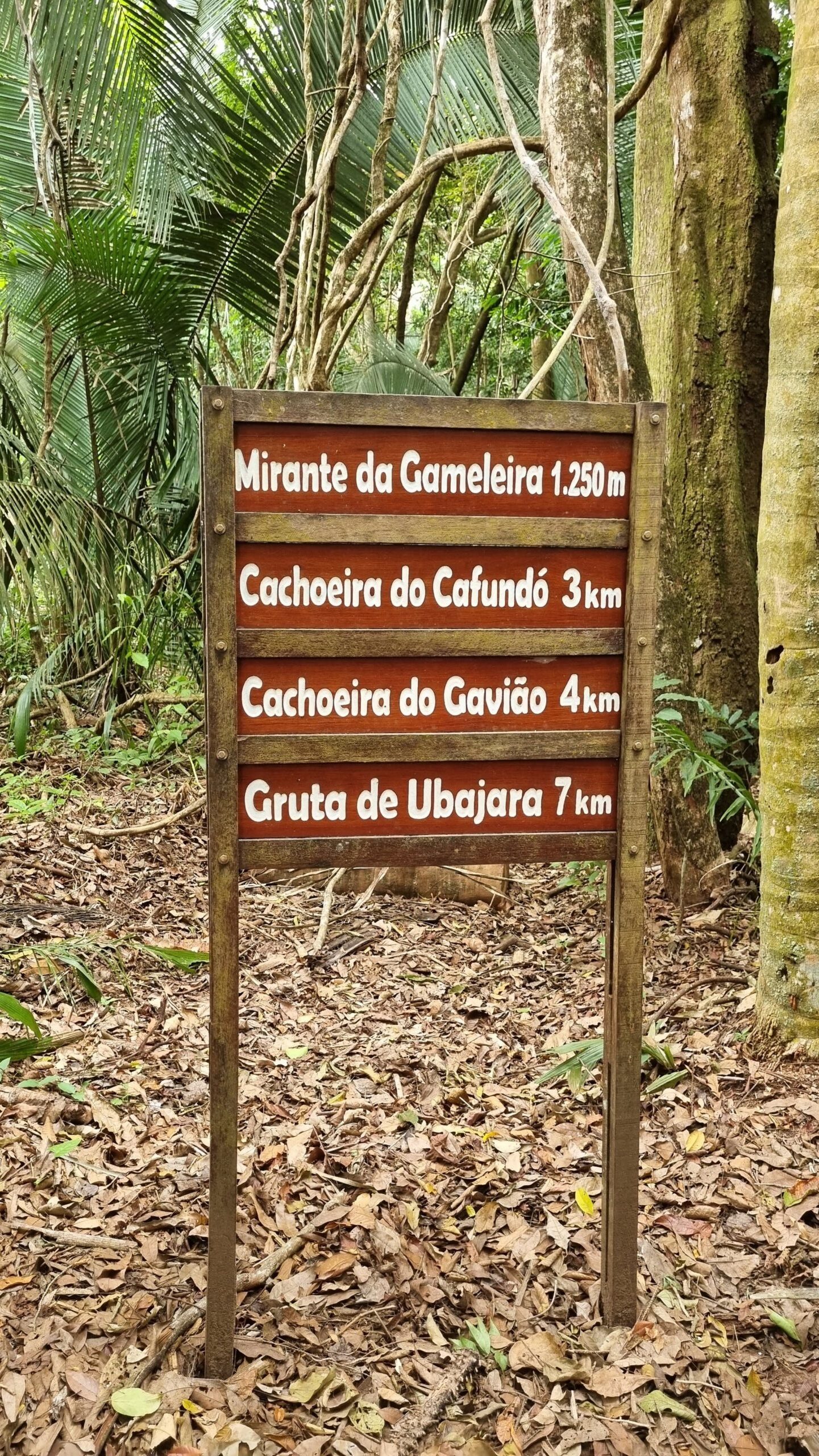 Parque Nacional de Ubajara: o parque despertar da educação ambiental ...