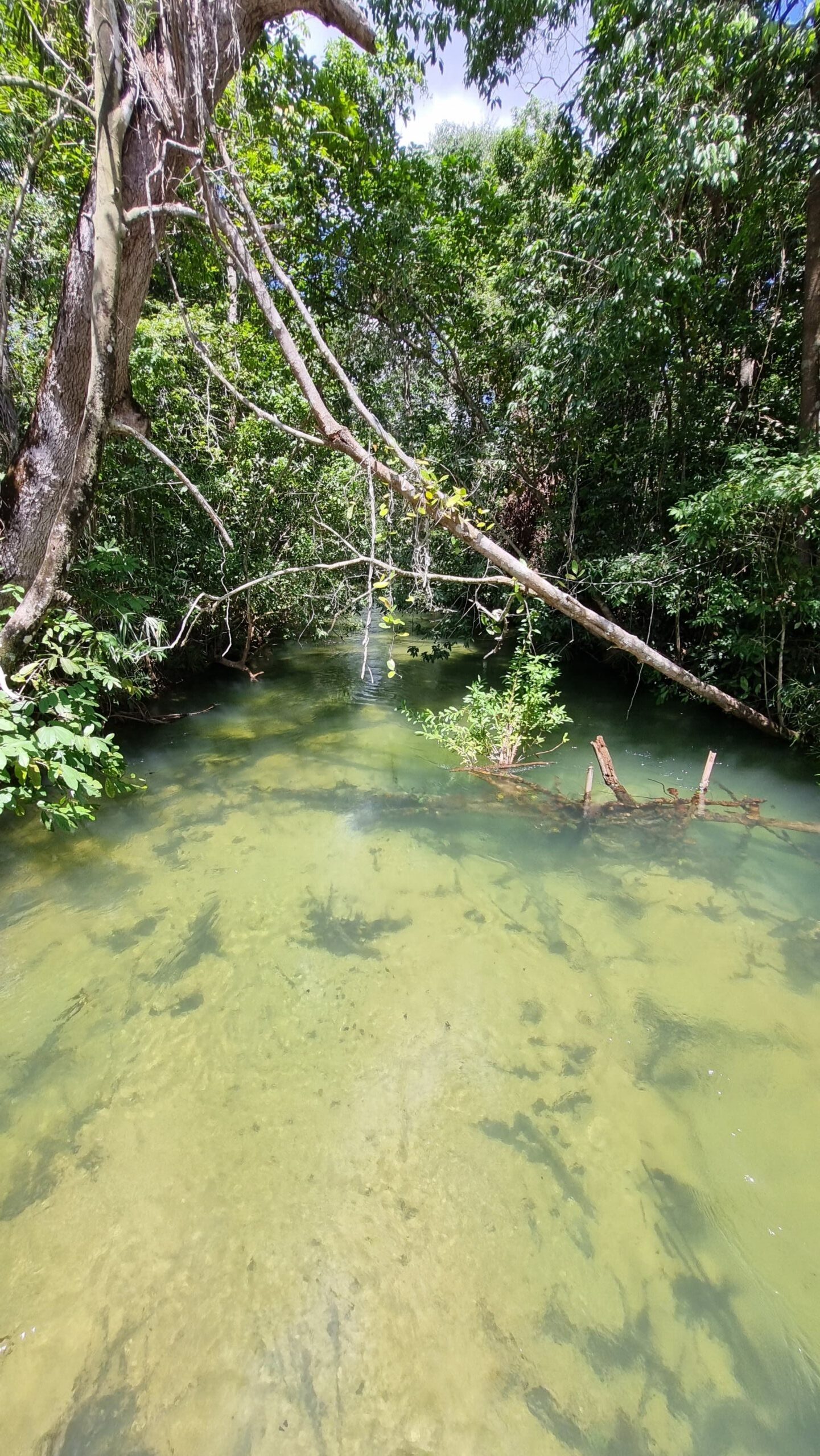 Parque Nacional das Nascentes do Rio Parnaíba: o parque nada óbvio ...