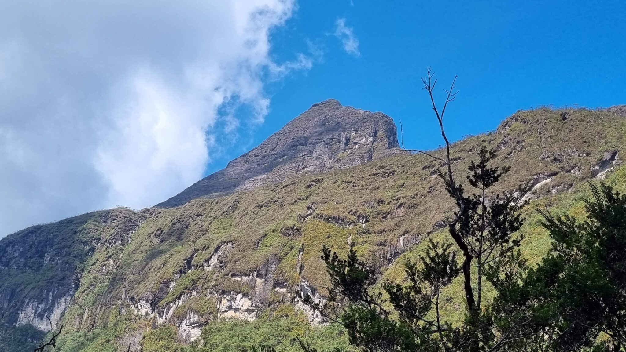 Parque Nacional do Pico da Neblina: o parque do Yaripo - Entre Parques BR