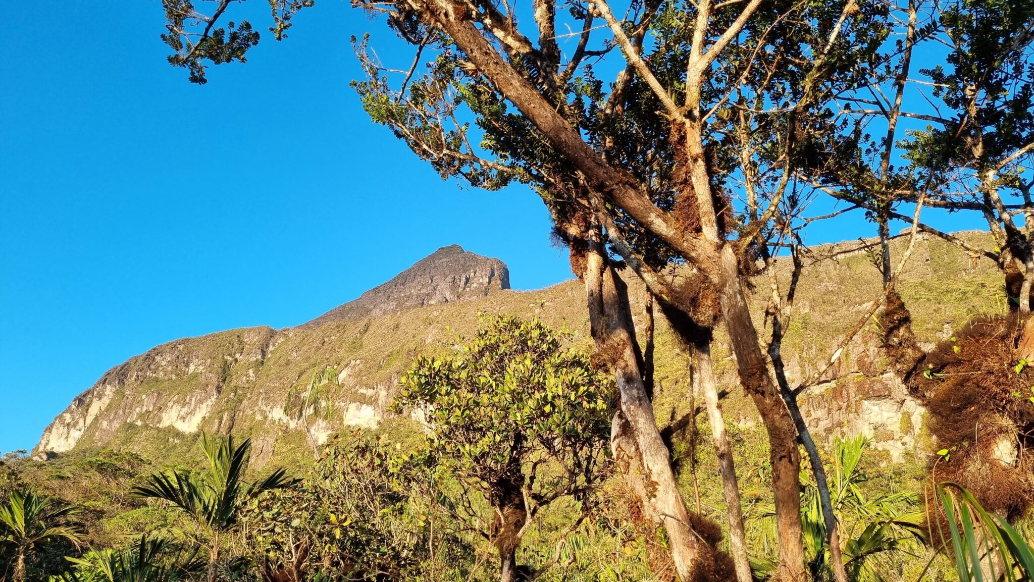 Parque Nacional do Pico da Neblina: o parque do Yaripo - Entre Parques BR