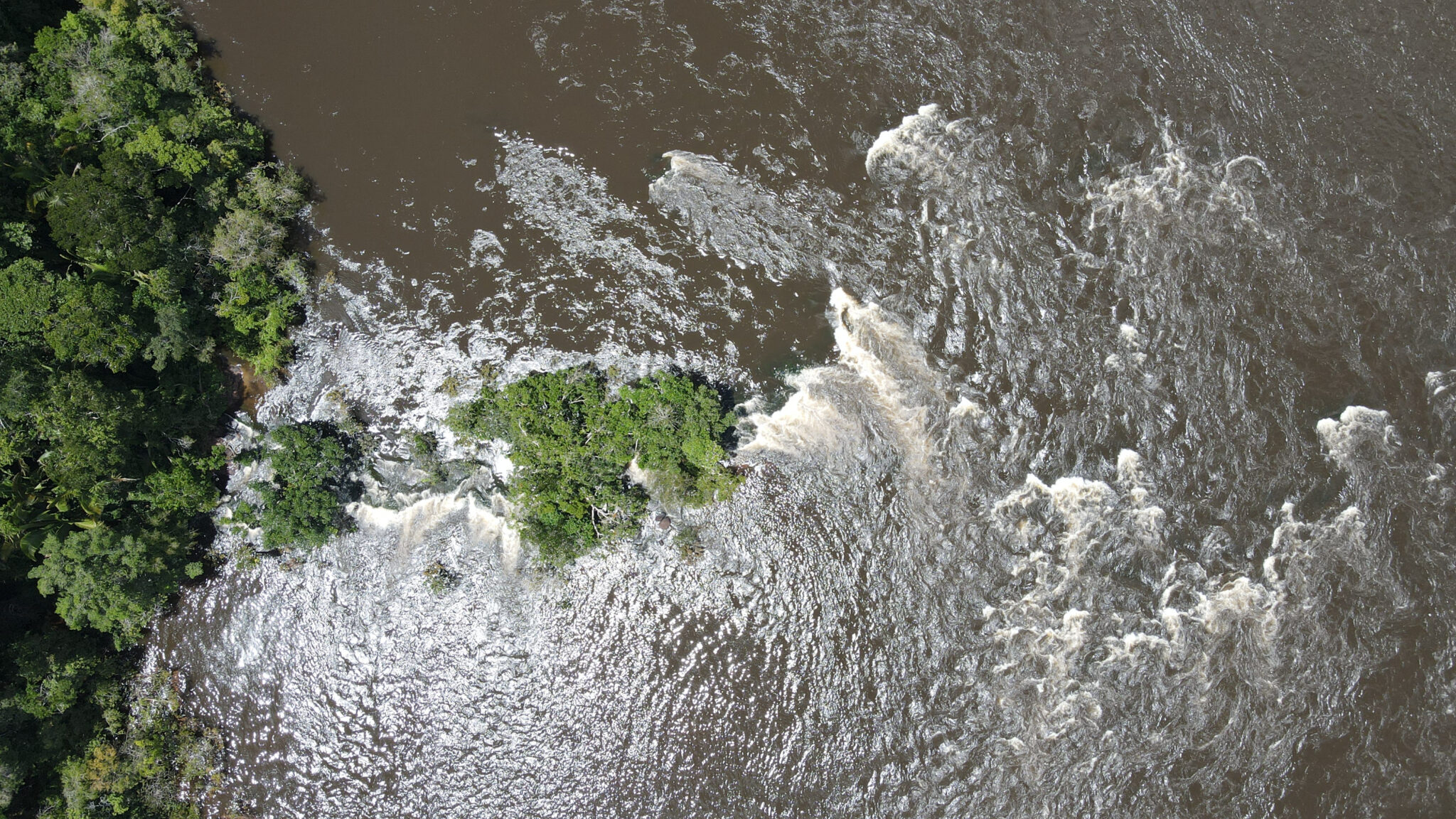 Acari: o parque do arco do desmatamento - Entre Parques BR